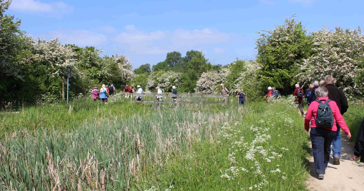 Risley Area - Ramblers